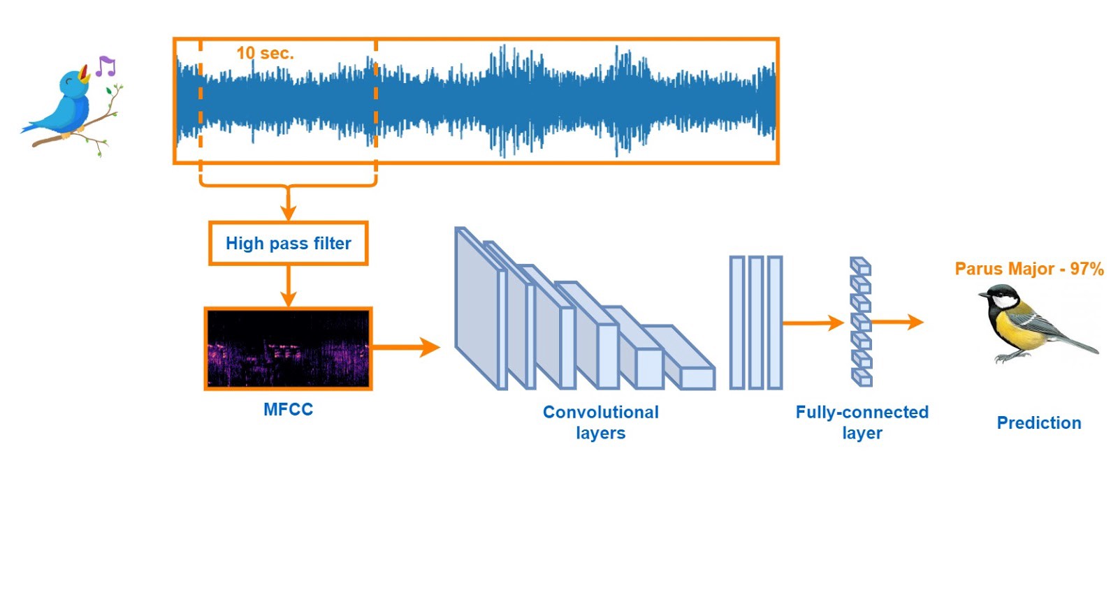 Bird Song Classification | Agnieszka Mikołajczyk